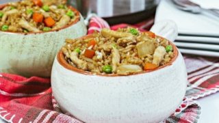 Instant Pot Recipes - Aileen Cooks