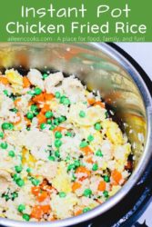 Better Than Take-Out Instant Pot Chicken Fried Rice - Aileen Cooks