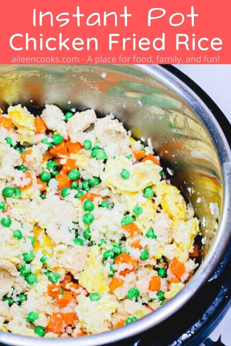 Better Than Take-Out Instant Pot Chicken Fried Rice - Aileen Cooks