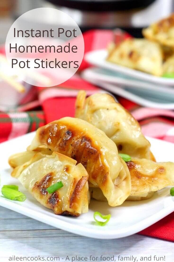 Homemade Instant Pot Pot Stickers - Aileen Cooks
