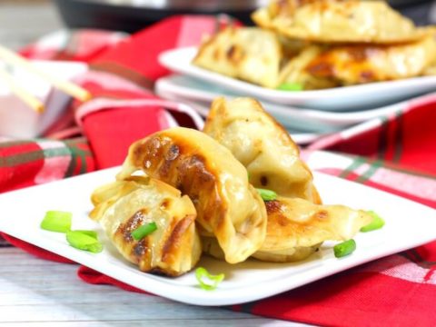 Instant Pot Pot Stickers - Aileen Cooks