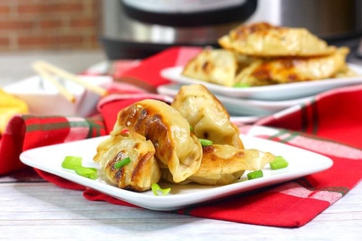Homemade Instant Pot Pot Stickers - Aileen Cooks