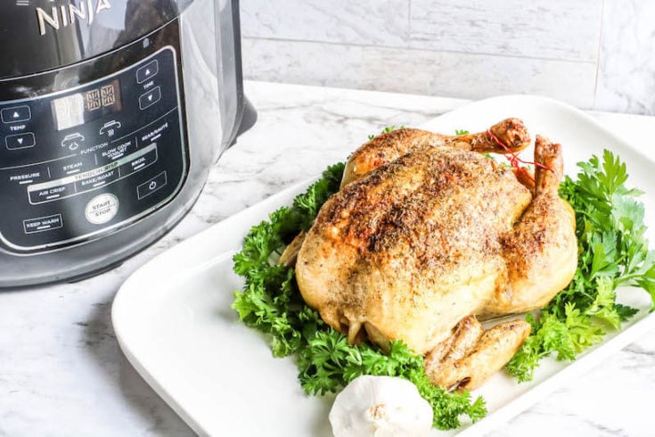 Ninja Foodi Whole Chicken - Aileen Cooks