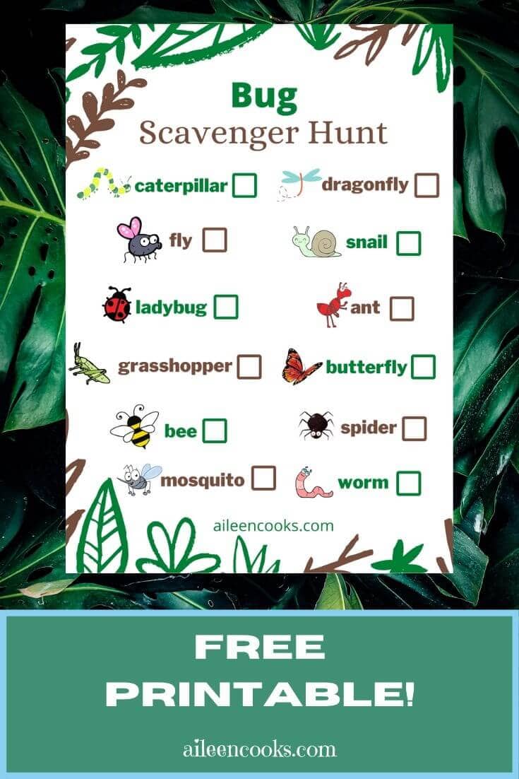 Bug Hunt | Free Printable - Aileen Cooks